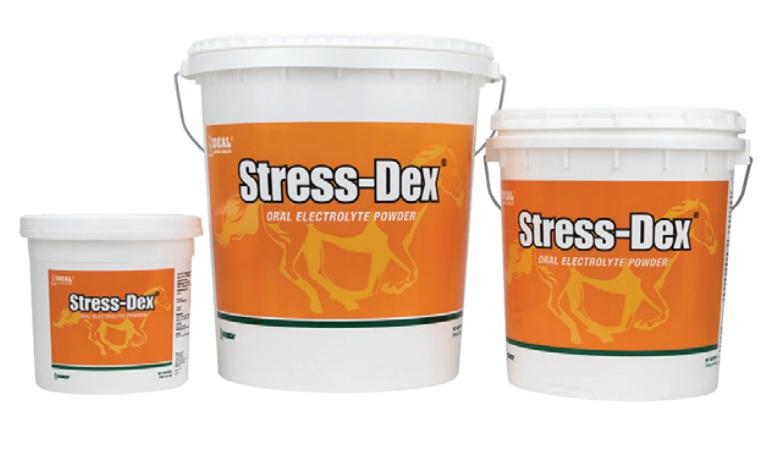 Stress-Dex Electrolyte Powder