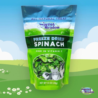 Freeze Dried Spinach Treats - 1.5 oz - Essex County Co-Op