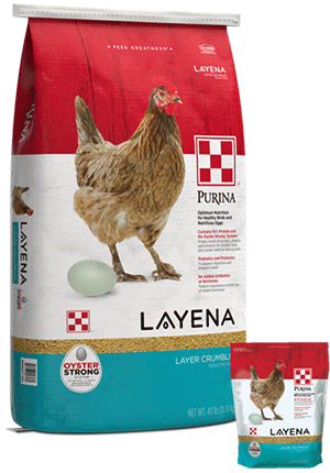 Purina® Layena® Chicken Layer Feed Crumbles - Essex County Co-Op