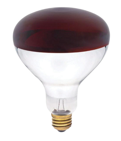 Westinghouse Reflector/Heat Lamp 250-Watt Incandescent Bulb - Essex ...