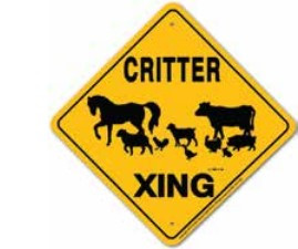 Critter Crossing Sign - Essex County Co-Op