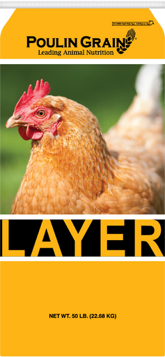 Poulin Chicken Layer Mash Feed - Essex County Co-Op