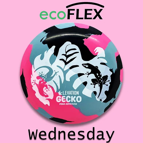 Gecko ecoFLEX - Disc Nation