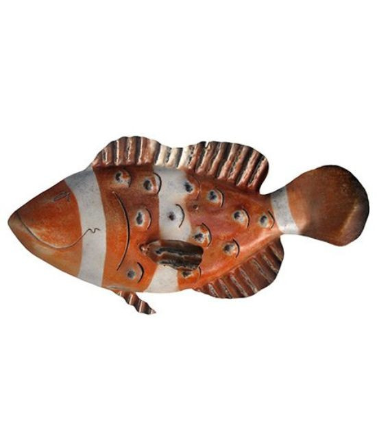Real Life Nemo Clown sales Fish