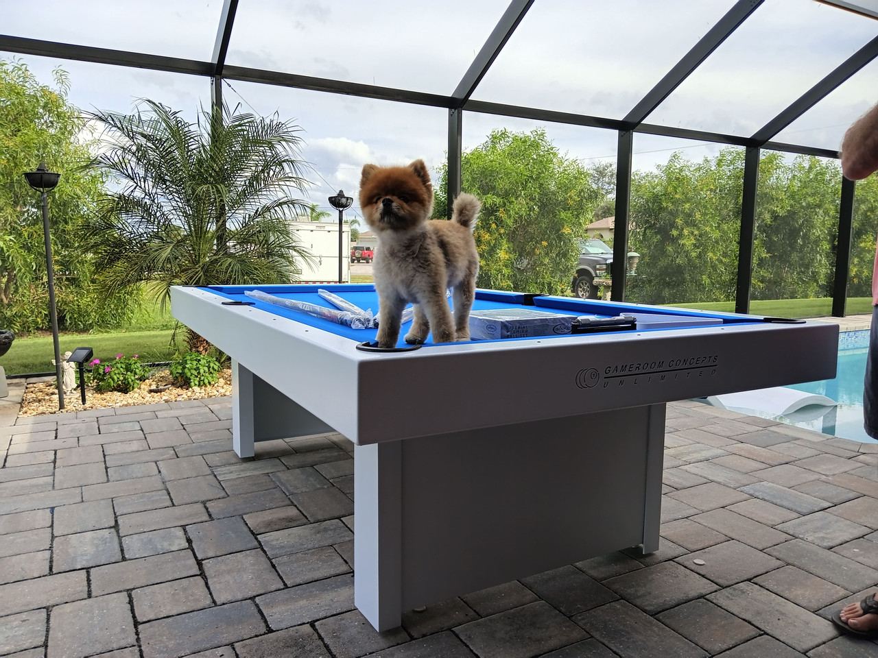 Nomad 1000 All Weather Outdoor Pool Table | Free Shipping USA - Sawyer ...