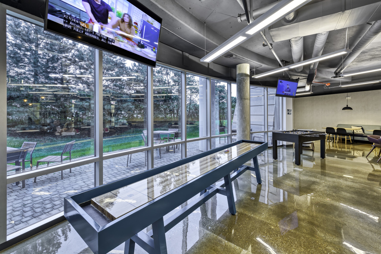 Commercial Shuffleboard Table