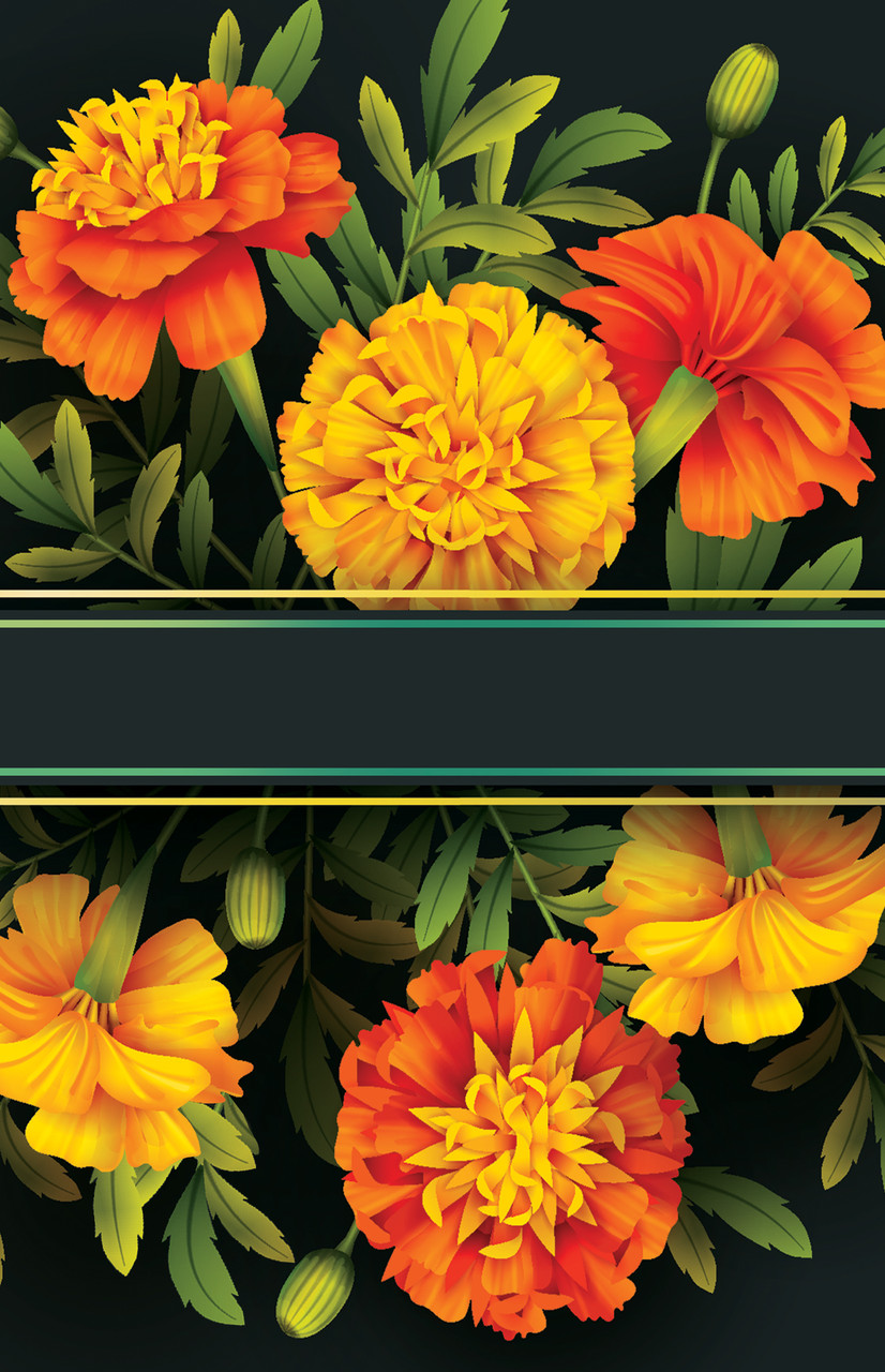 97153 six blank note greeting cards with six envelopes - Stockwell ...