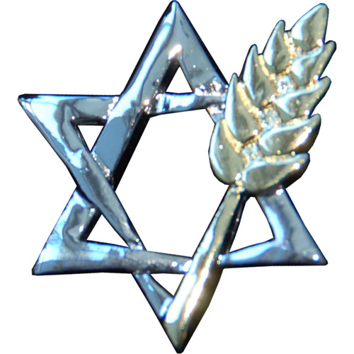 Star of David with Wheat Lapel Pin - Jewish Voice