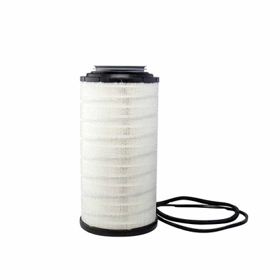 Air Filter Primary RadialSeal Donaldson for Peterbilt Truck 389 ...
