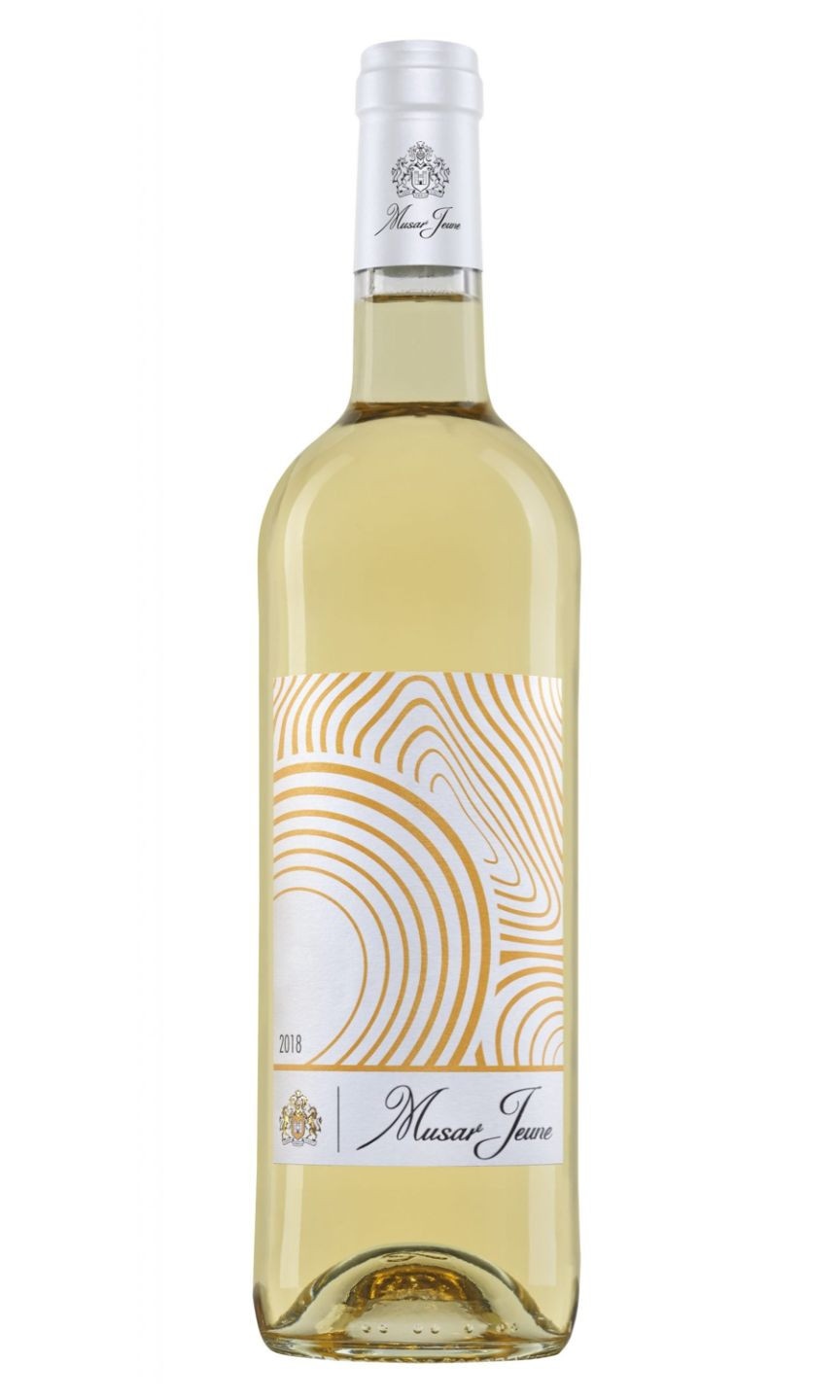 Musar Jeune White 2022 - Ellis Wharton Wines