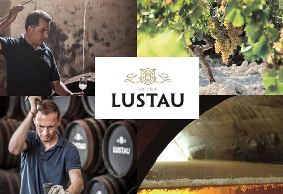 Sherry – A brief Introduction! - Ellis Wharton Wines