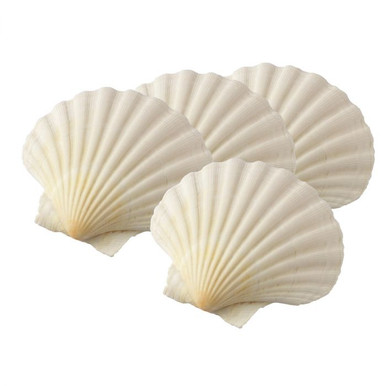 Natural Baking Shell, 4 inch, Set of 4 - Fante's Kitchen Shop - Since 1906