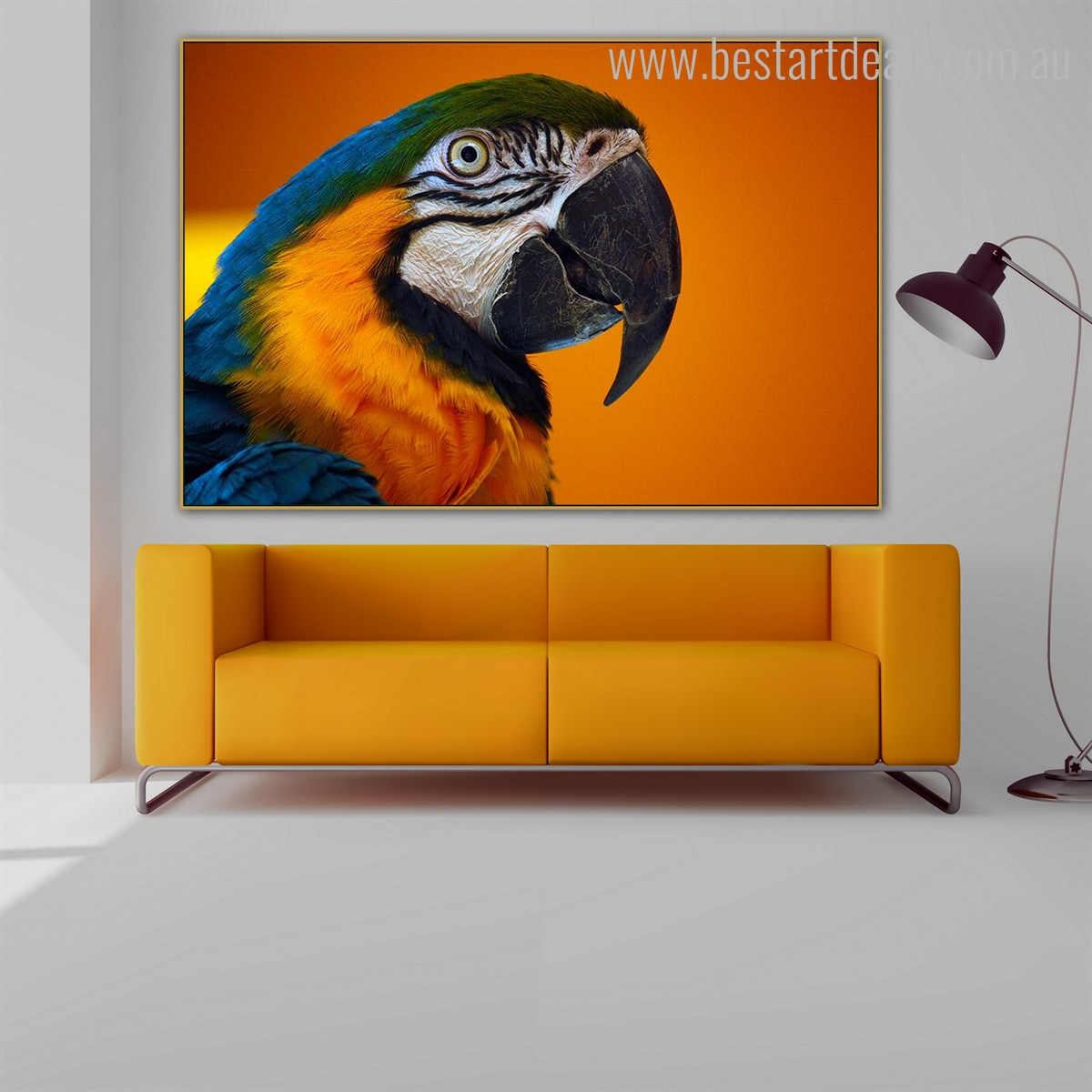 Buy Macaw Canvas Print Wall Art Decor.