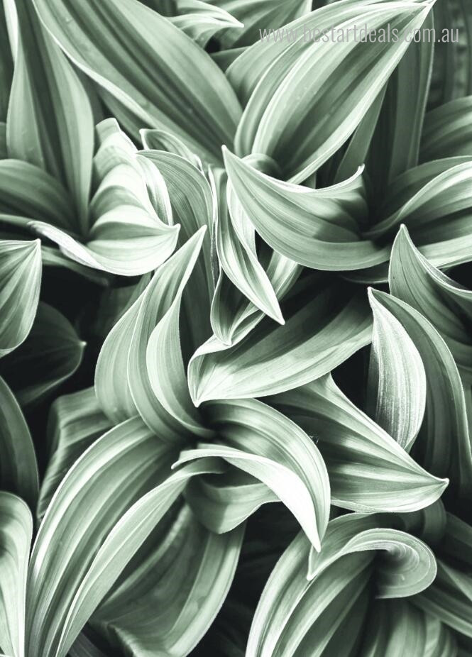Buy New Cactus Bines Canvas Print Wall Art Decor.