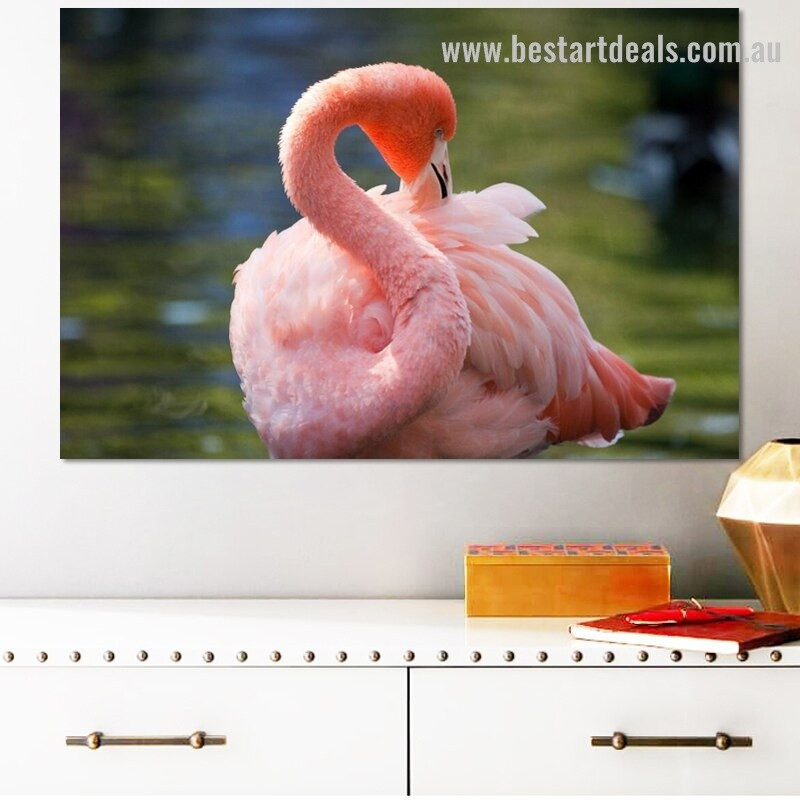 Buy Beautiful Flamingo Canvas Print Wall Art Decor.