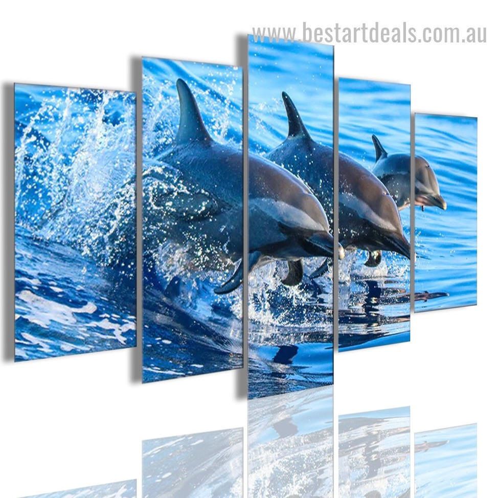 Buy Dolphin Canvas Print Wall Art Decor.