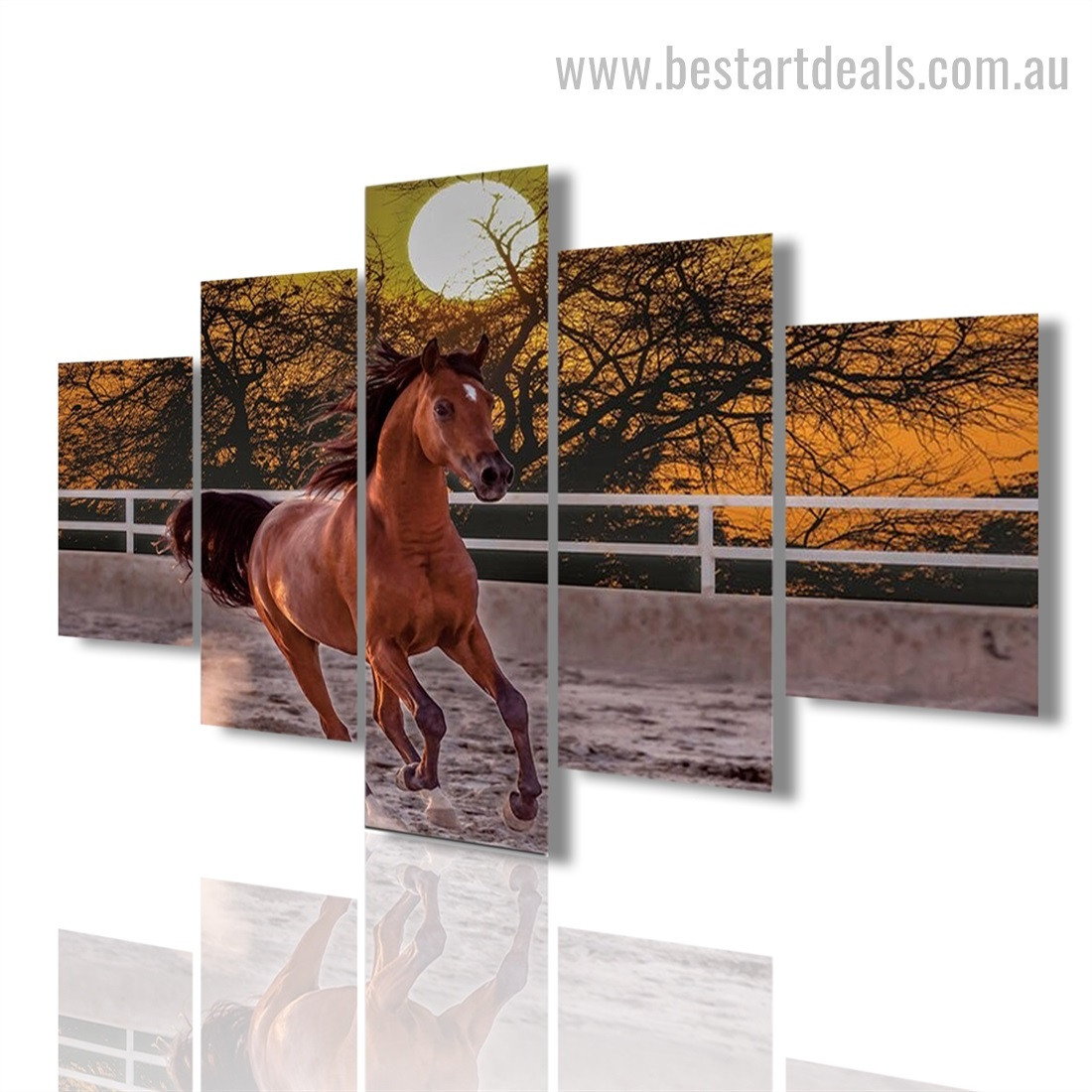 Buy Mare Canvas Print Wall Art Decor.