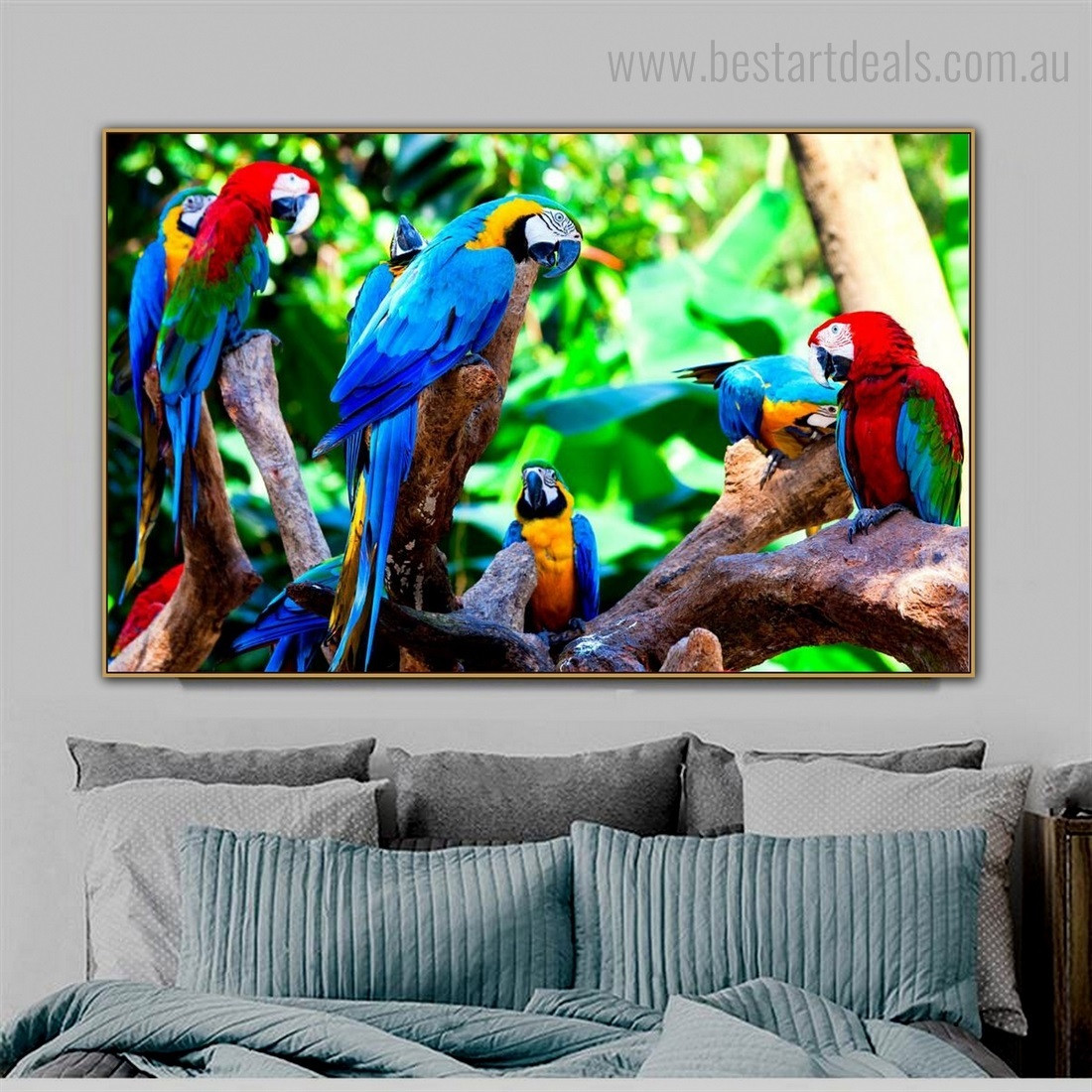 Buy Macaw Canvas Print Wall Art Decor.