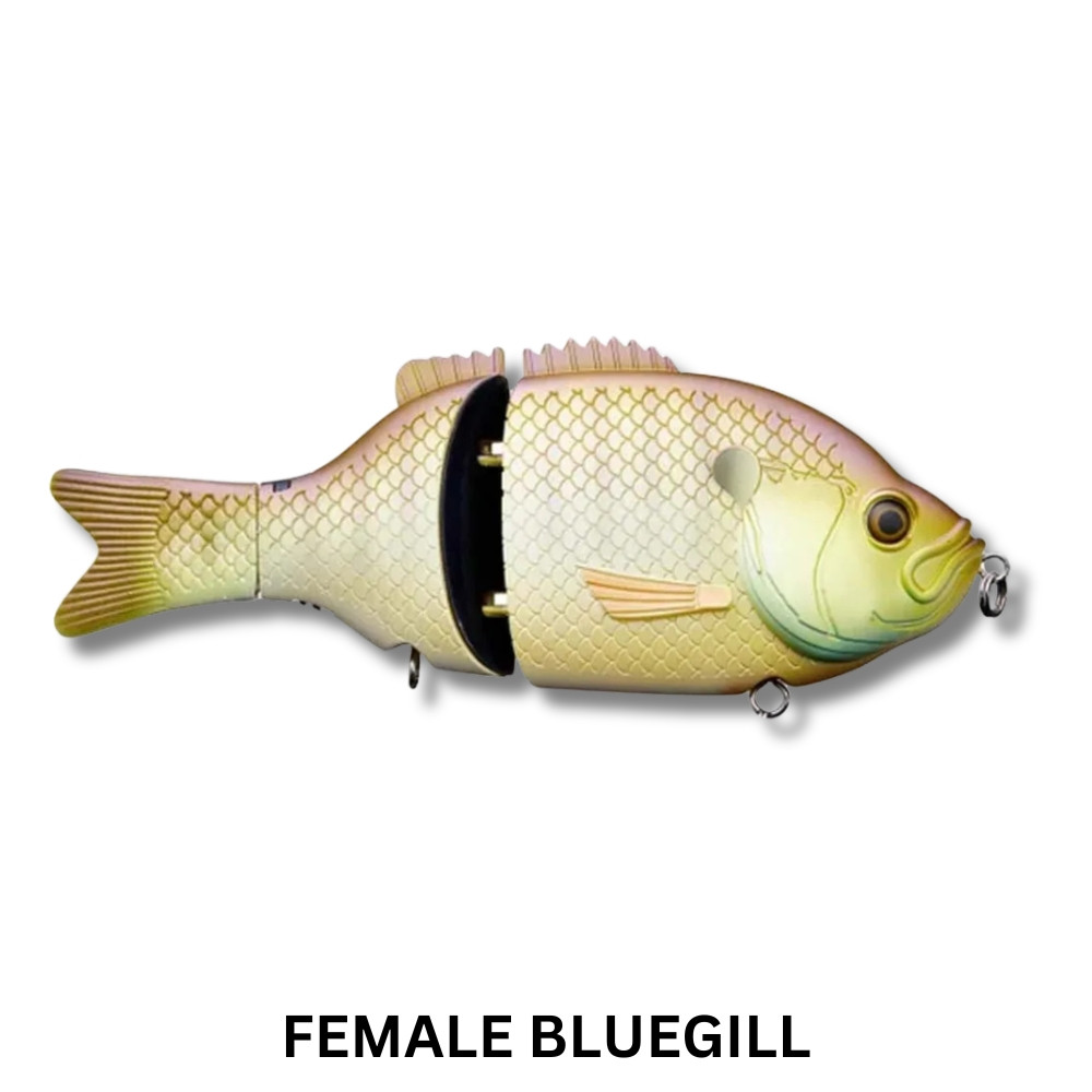 Baitsanity Explorer Gill 6 Glidebait | McCredden's