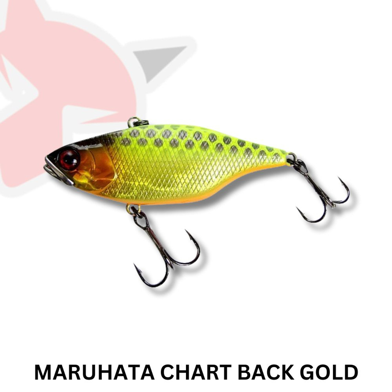 JACKALL TN60 Skull Shell (Maruhata Sound) Lipless Crankbait - McCredden's