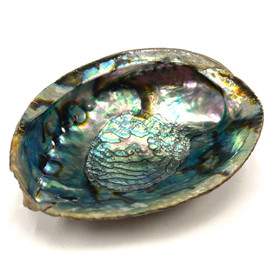 The Gift Shop - Rocks & Minerals - Page 1 - Paykoc Imports, Inc.