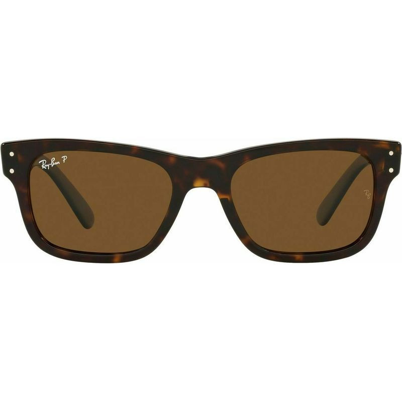 Ray Ban Mr Burbank RB2283 Havana/Brown | Polarised | Glass
