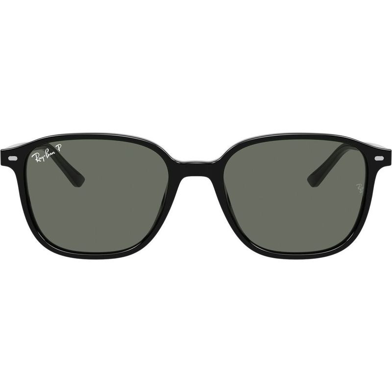 Buy Ray-Ban Leonard RB2193 Black/Green G55 Polarised | Zip