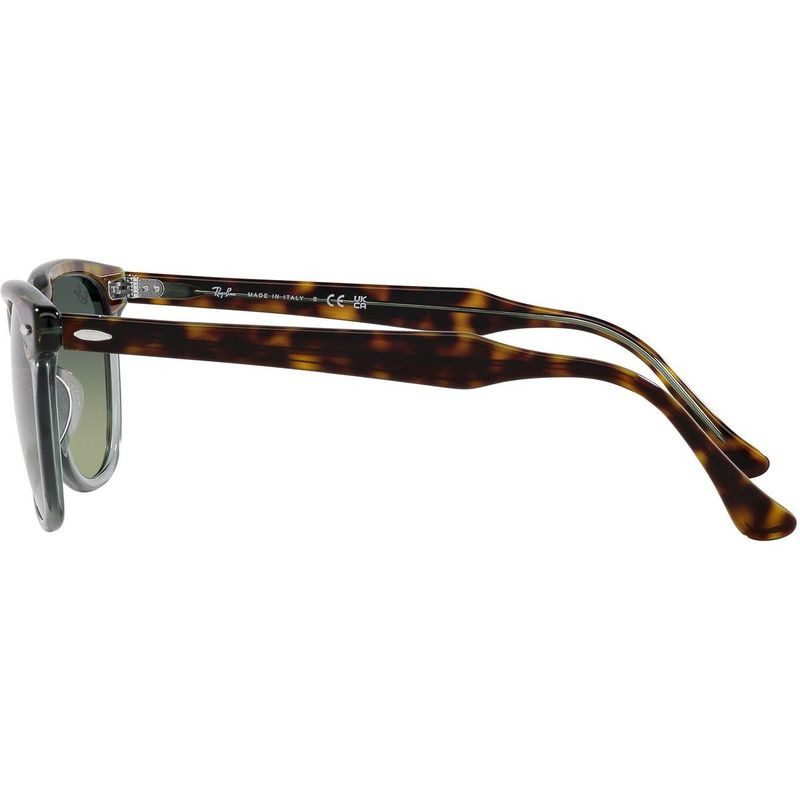 Buy Ray-Ban Eagleeye RB2398 Havana Transp Green/Green G53