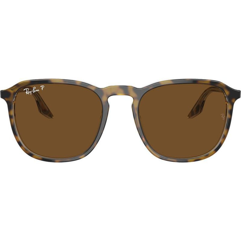 Ray-Ban RB2203 Havana Transparent/Brown Polarised Sunglasses