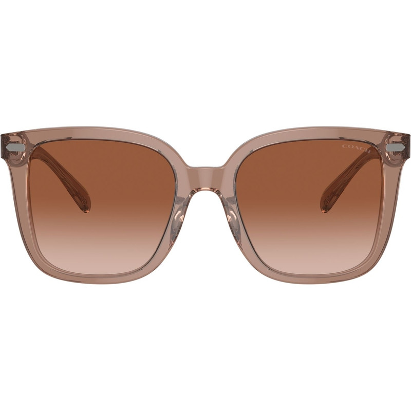 Coach Hc8381u Brown/Brown Gradient Sunglasses | Afterpay