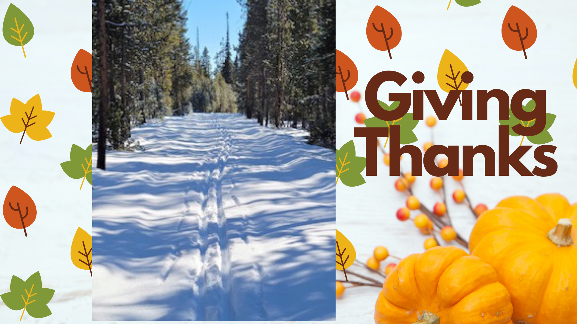 Giving Thanks - Enjoy Winter