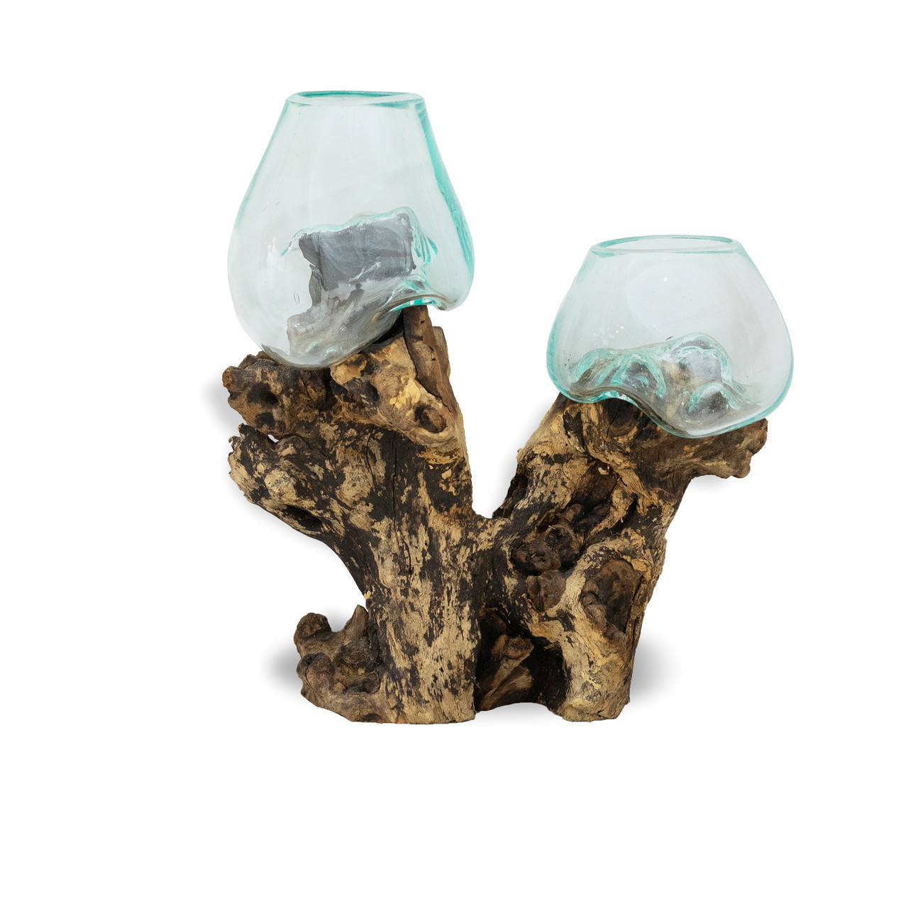 Double Glass Vase on Root