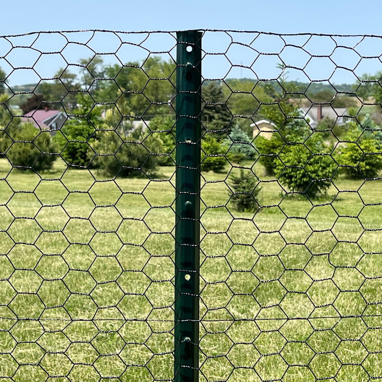 3' Green Steel U-Post with Anchor Plate