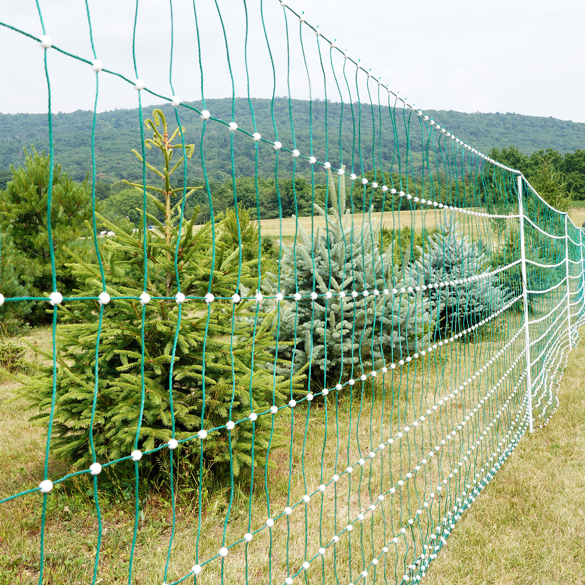 48" H Electric Poultry Netting 12/48/3 - Green, 82' L
