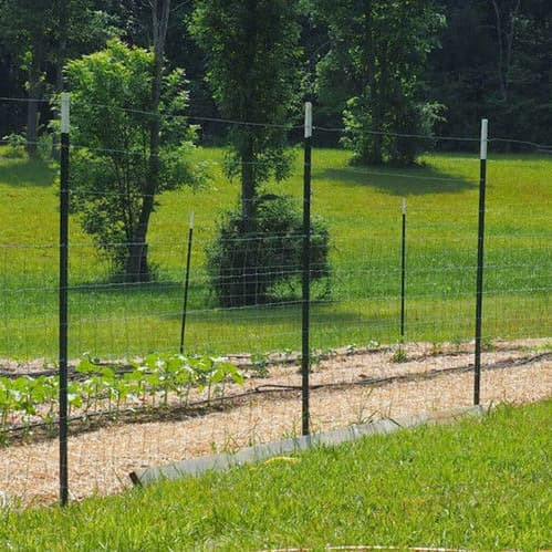 10' T-Post Studded 1.33 lb/ft Painted Green - DeerBusters.com