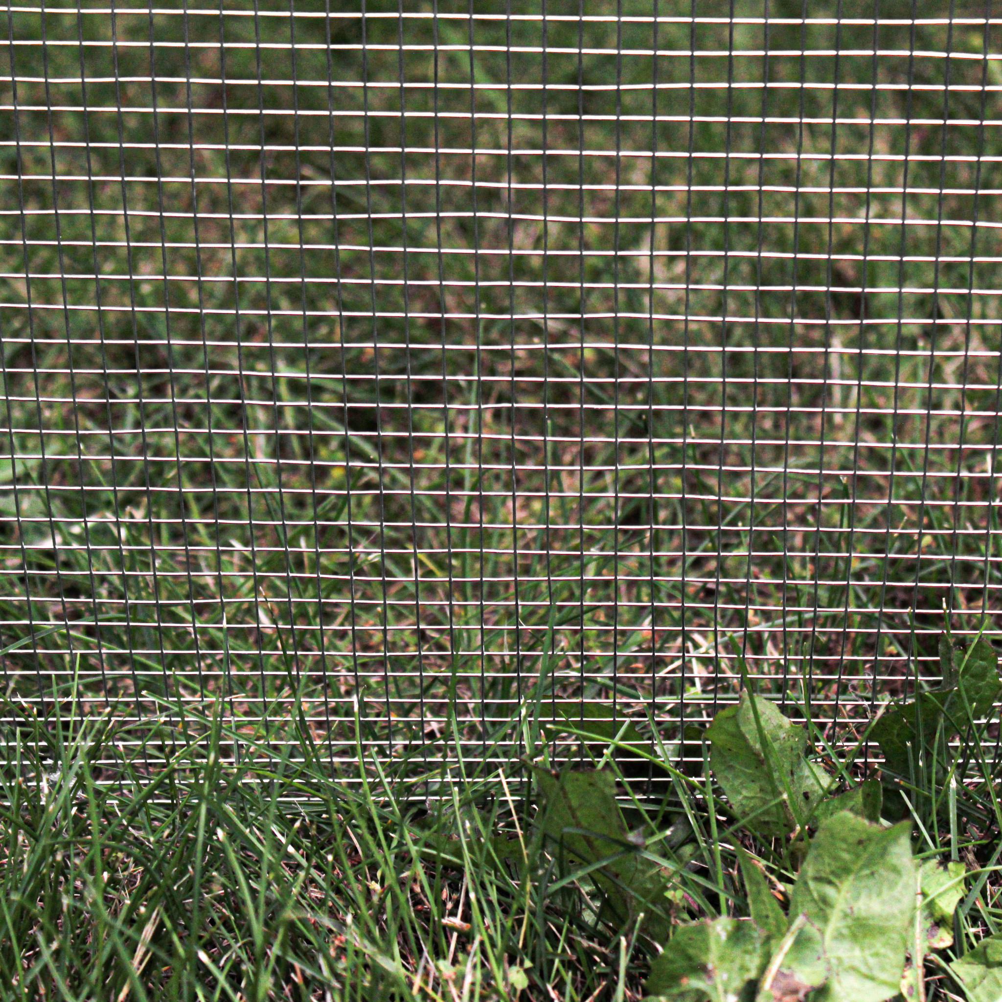 2' x 100' Galvanized Steel Hardware Cloth - 23 ga., 0.25" x 0.25" Mesh