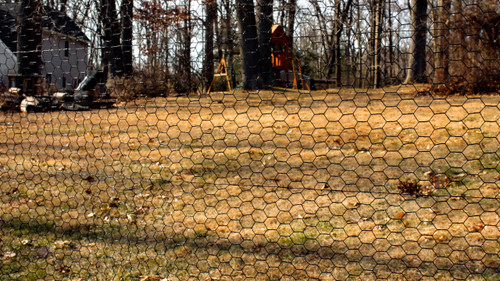 Small Critter Fence