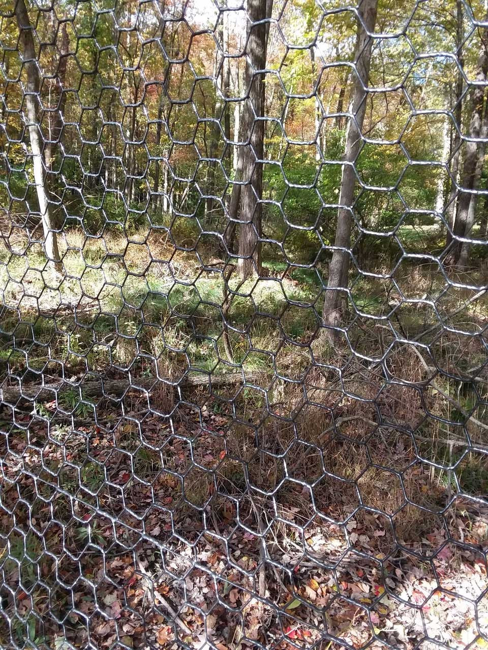 Deer Fence Materials and Supplies