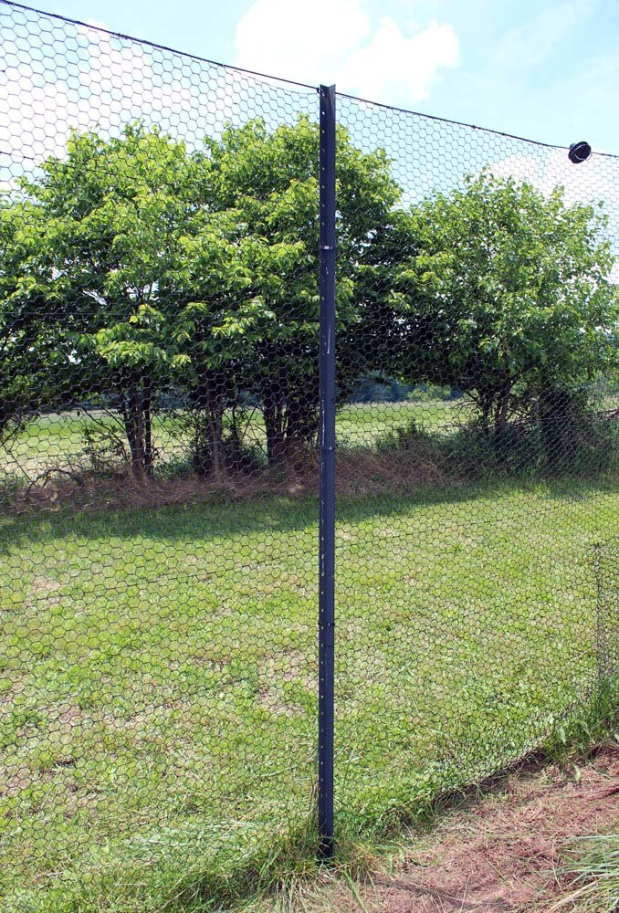 9' Angle Steel Posts (8 Pack) - DeerBusters.com