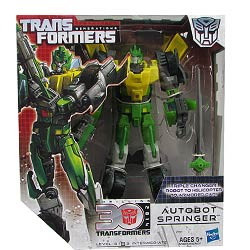 Springer Transformers