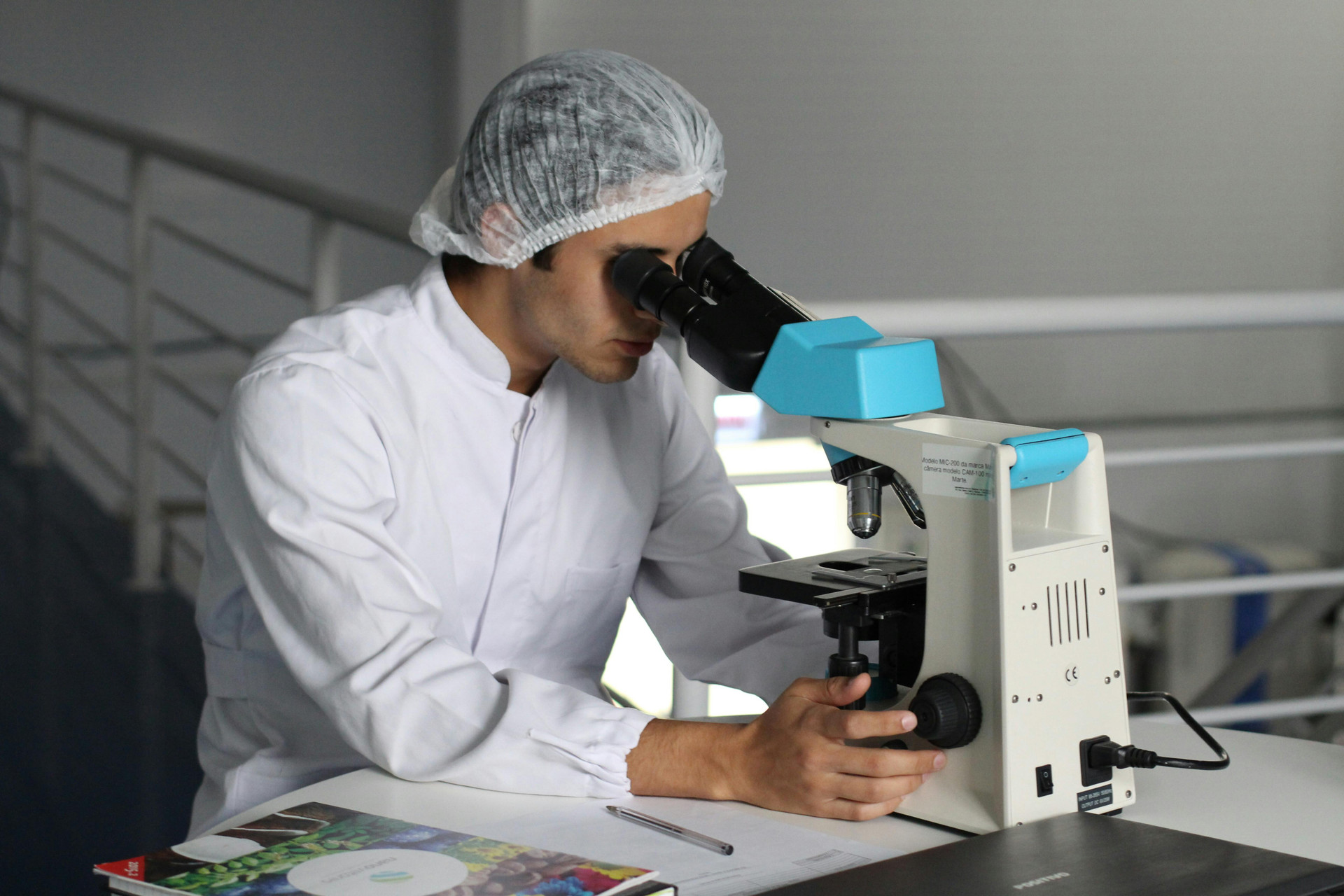 Macaenes and Macamides: The Unique Compounds Behind Maca’s Health ...