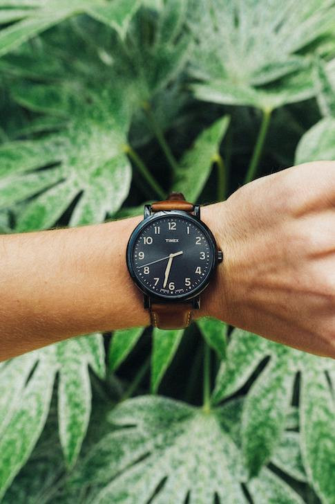 When to Take Maca Root for Maximum Benefits - The Maca Team, LLC