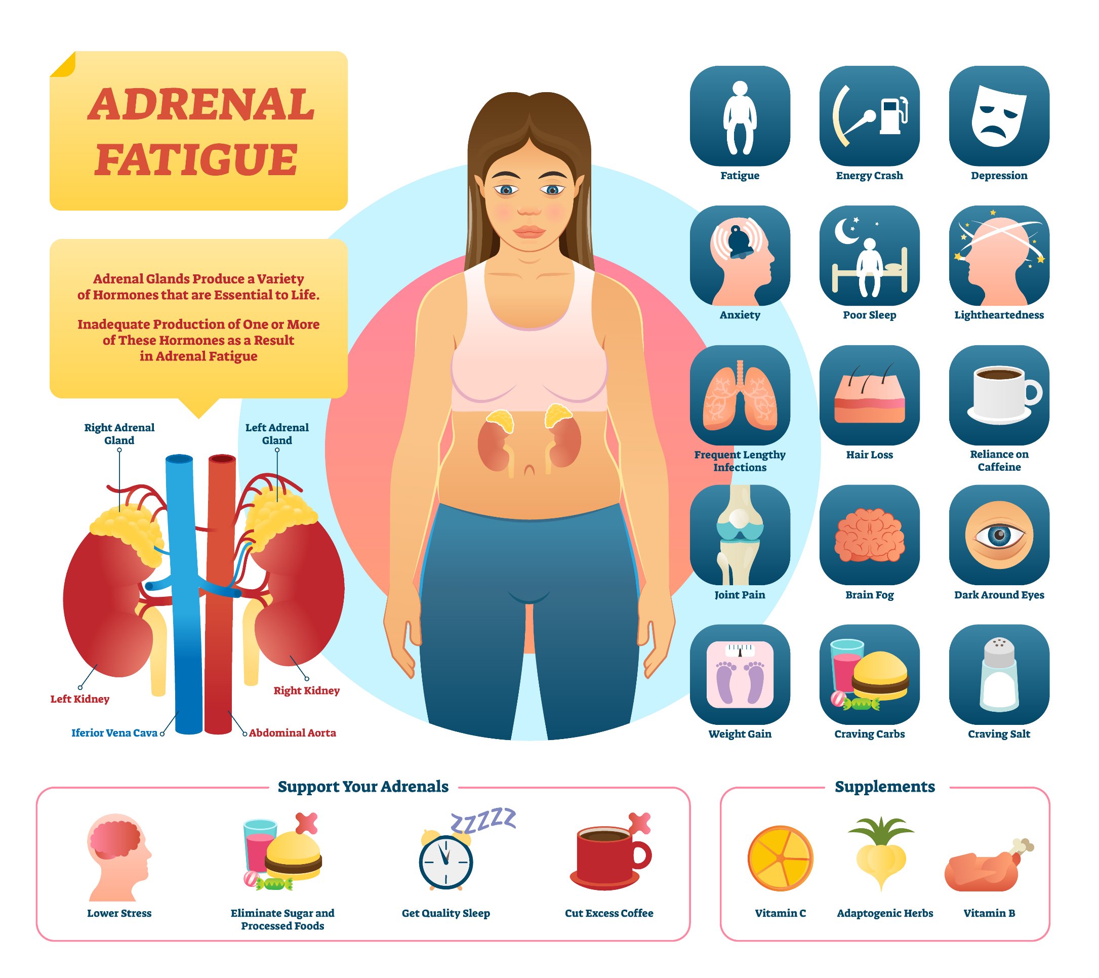 Natural Adrenal Support Maca Root For Adrenal Fatigue