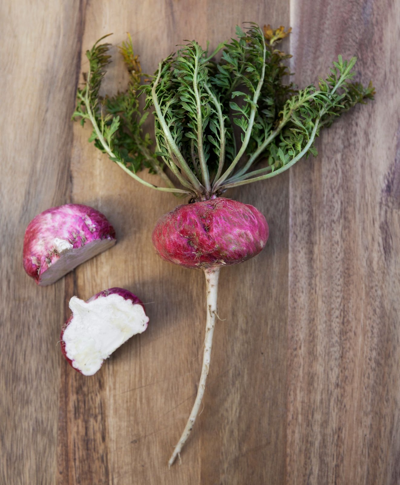 Top Uses for Red Maca Root - The Maca Team, LLC