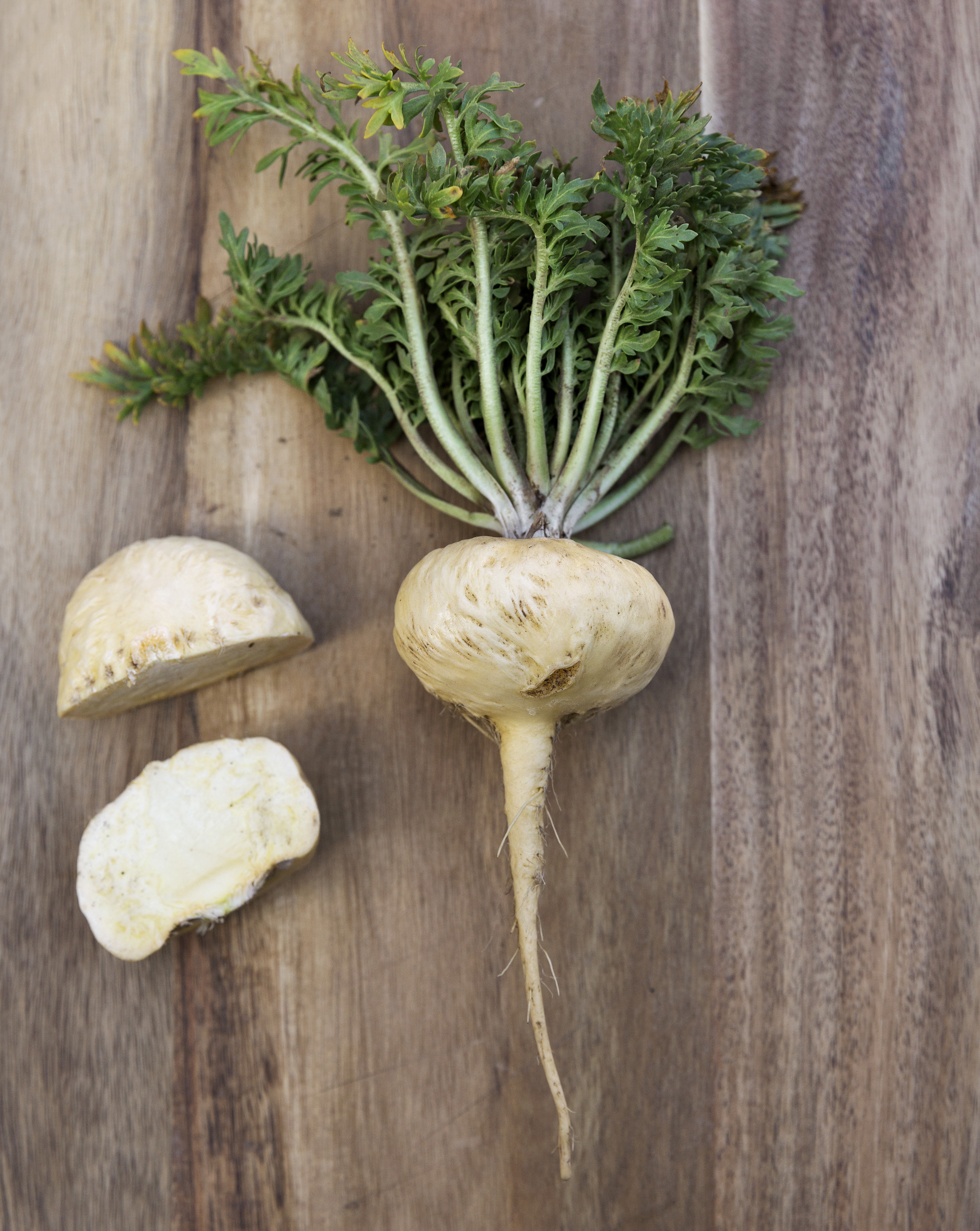 Maca Root Myths vs. Facts - The Maca Team, LLC