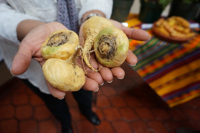How Do I Take Maca? - The Maca Team, LLC