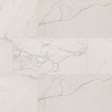 MS International Regallo Series: 24x48 Calacatta Isla Matte Porcelain ...