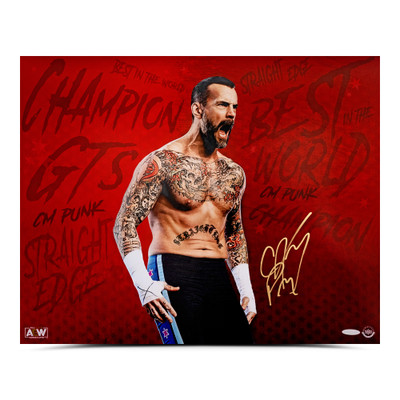 CM Punk Signed Autographed 16x20 Photo Best In The World All Elite ...