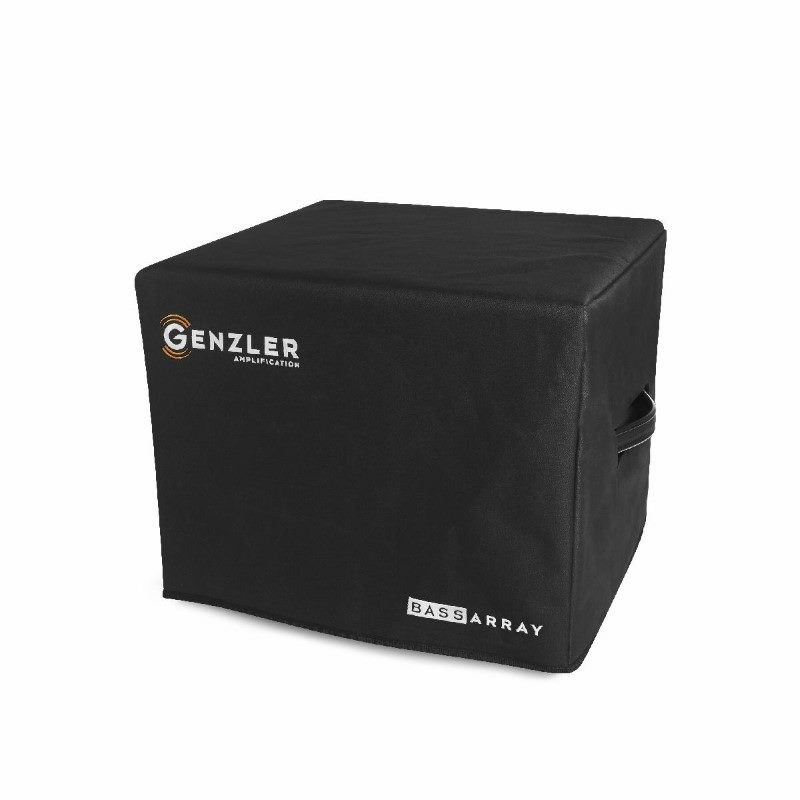 Amps and Preamps for upright bass amplification