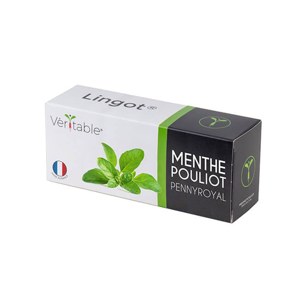 Veritable Pennyroyal Mint Lingots | Juicer.co.uk